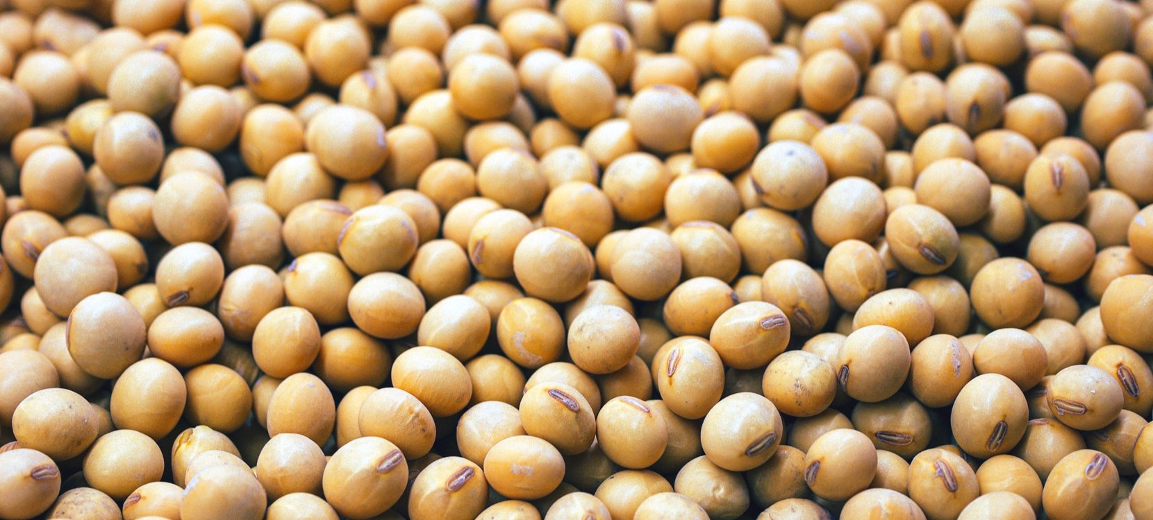 COOK | Thanakorn Vegetable Oil Products Co.,Ltd.